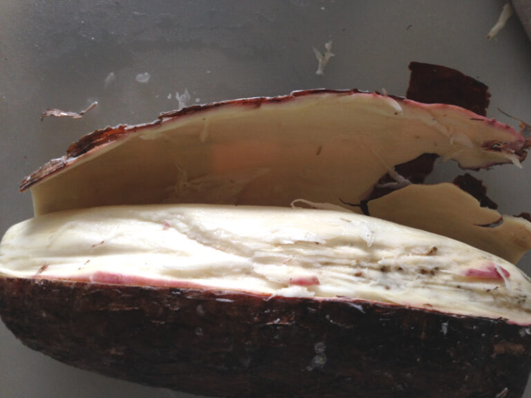 Amazing Baked Nyonya Tapioca Kueh - Tan's Family Food Corner